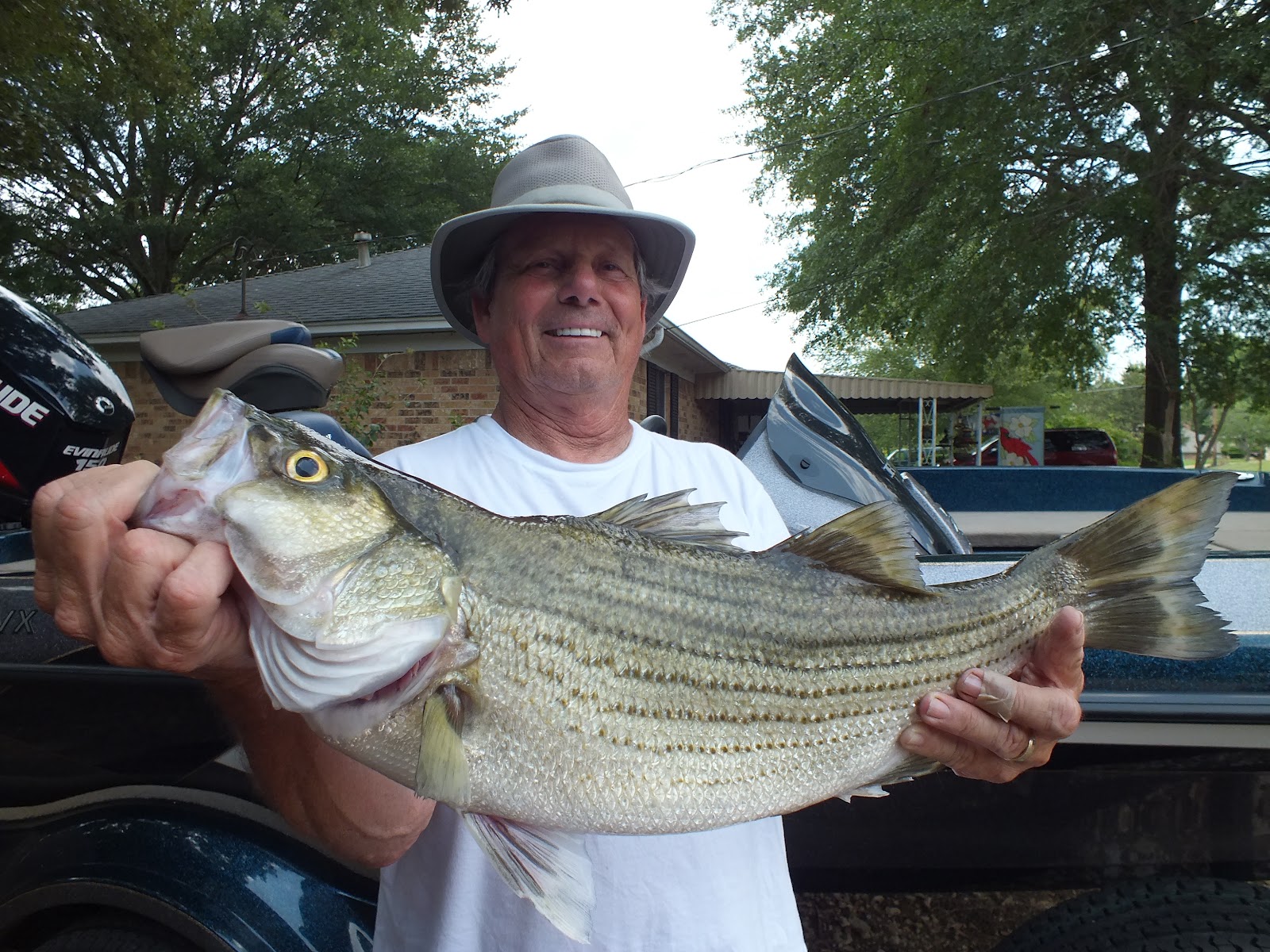 lakeside: Hi, its me, fishnman, this is a palmetto bass also known as a ...