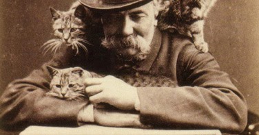 NUNCAJAMAS COCKER: HARRY POINTER Y LOS "BRIGHTON CATS" (SPANISH & ENGLISH)