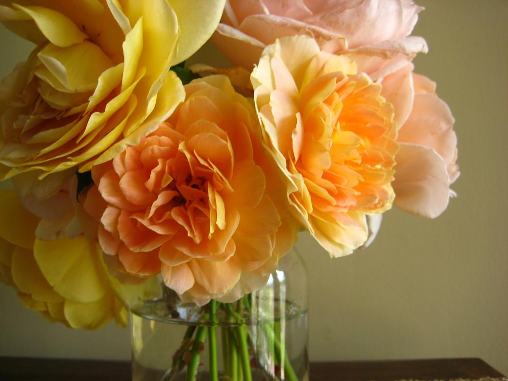 A Shower Fresh Garden: English Rose Bouquet