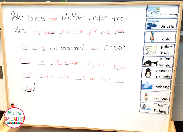 Polar Bear Science Lesson · Mrs. P's Specialties