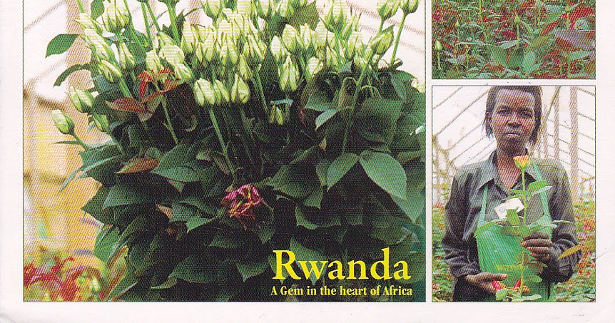 Postcard A La Carte: Rwanda - Floriculture