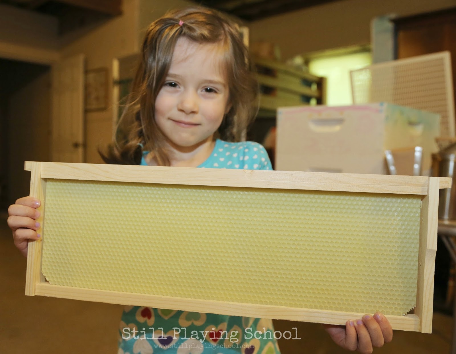 Beekeeping for Kids | Still Playing School