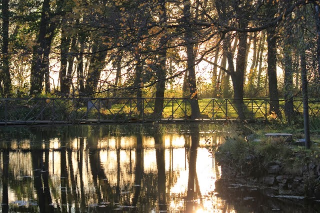 Leena Lumi: Ennennäkemätön syksy rakensi korkean...