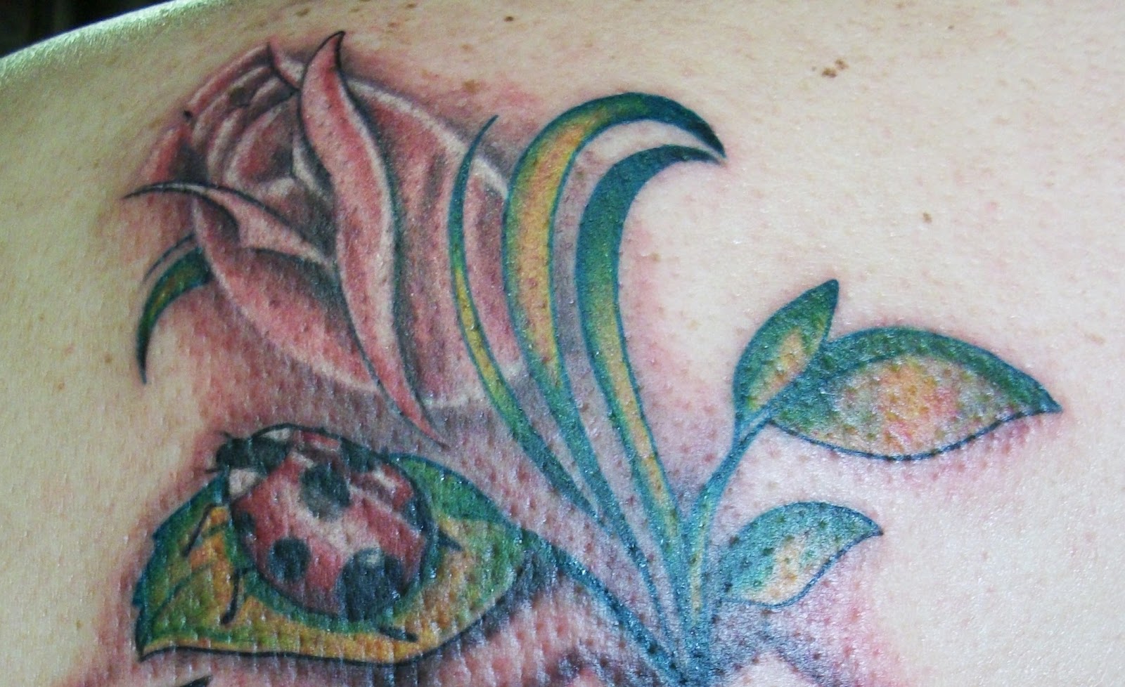Ibis Ink Tattoo