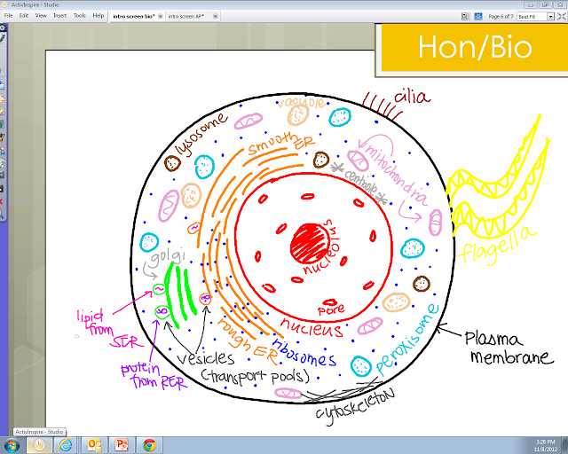 Ms. Le's Class: Today in Biology
