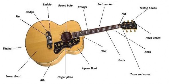 Construction and Components of a Guitar - Guitar Joint