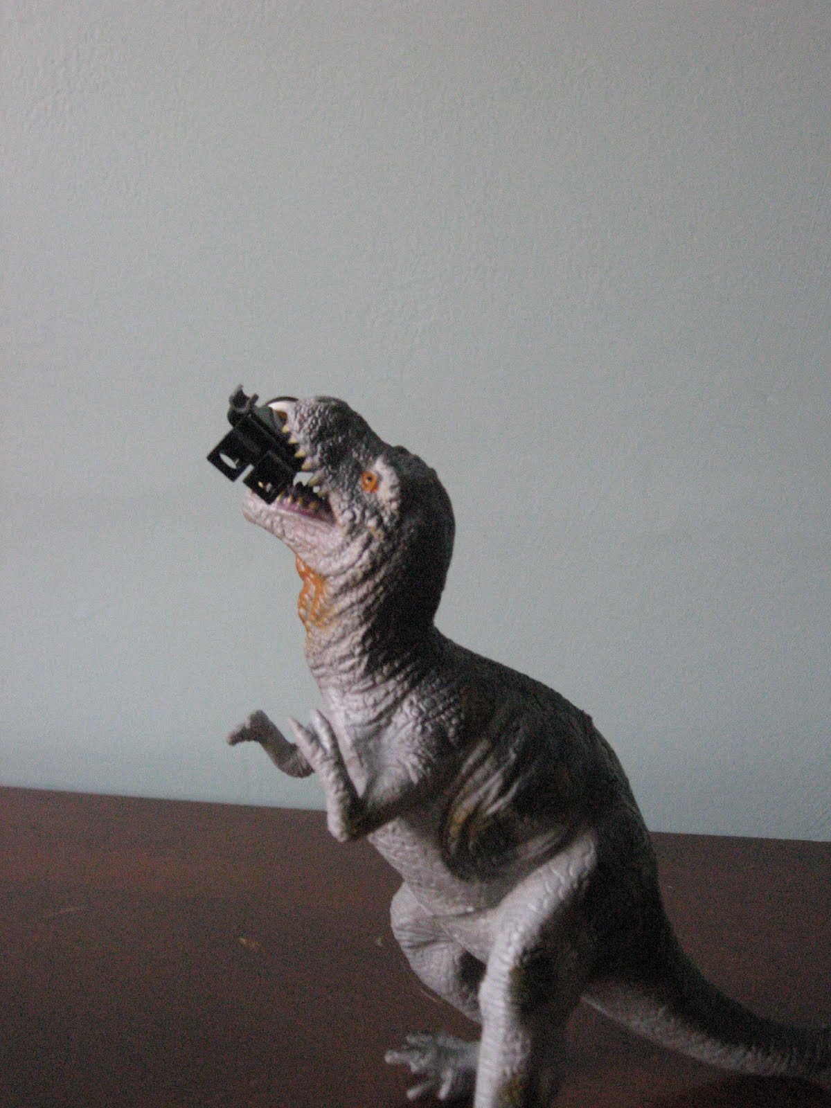 Eastern Blog Country