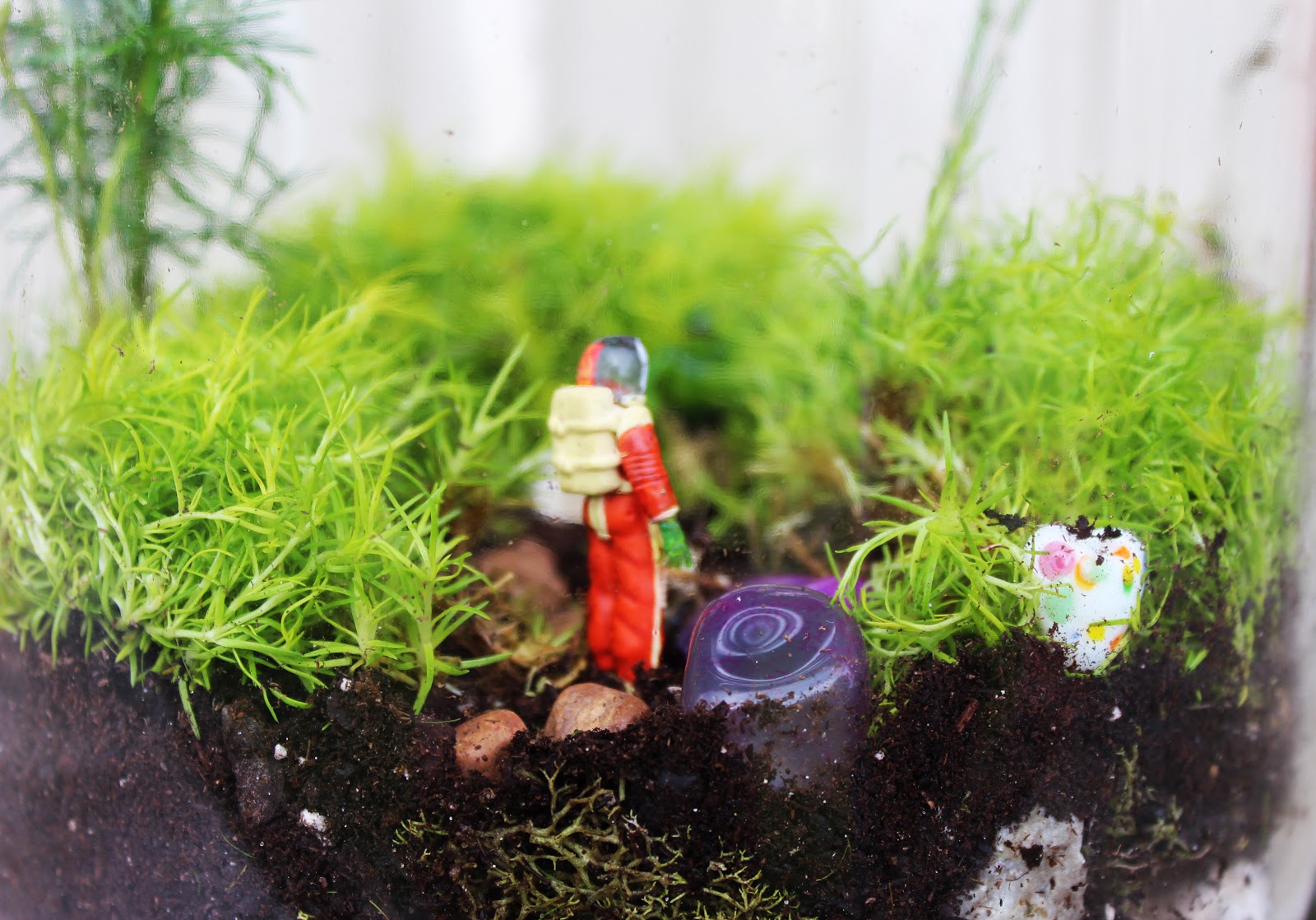 J Mcconnaughhay Design: An Impossible Astronaut Terrarium