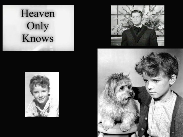 Photos Peter Miles (Gerald Perreau Saussine)