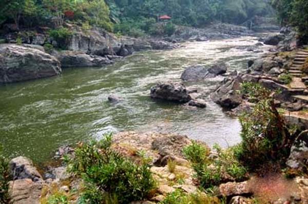 TheJambiTimes.com |Berita Jambi Terkini, BERITA HARI INI