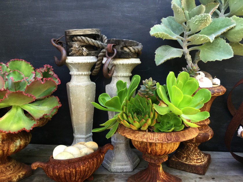 Tamera Beardsley: Fast and Easy October Decor