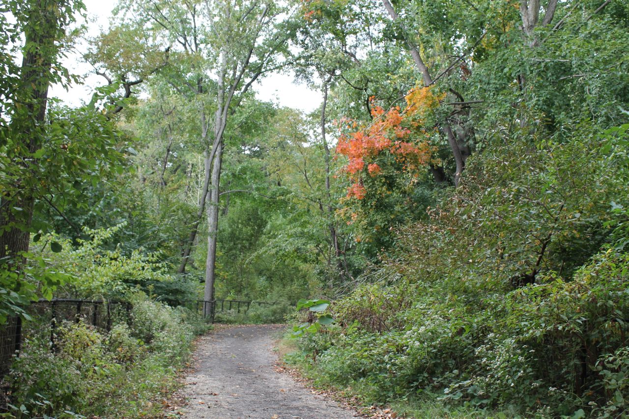 Prospect Park: Walking Into Autumn