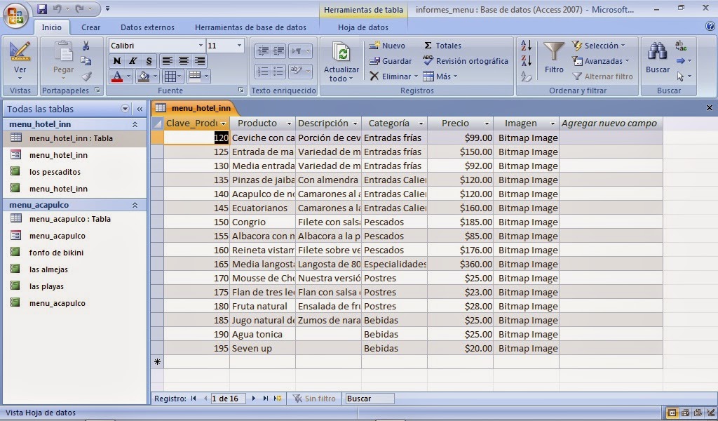 BASE DE DATOS ACCESS: PARTES DE UNA BASE DE DATOS DE ACCESS