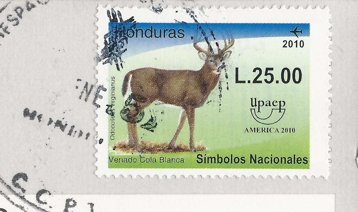 A Journey of Postcards: Tela, a postcard from the Honduras Carribbean coast