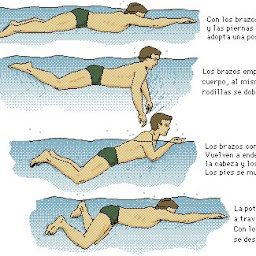 Natación según la perspectiva de un deportista