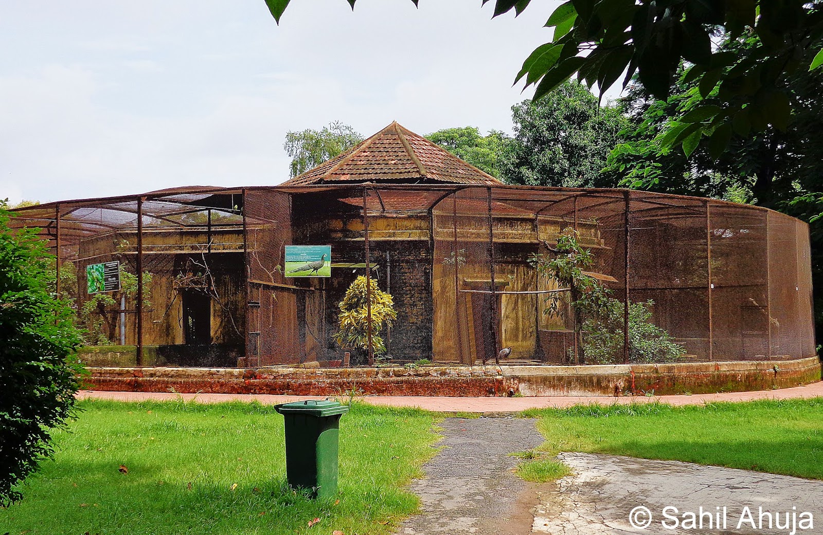 Pixelated Memories: Alipore Zoo, Calcutta
