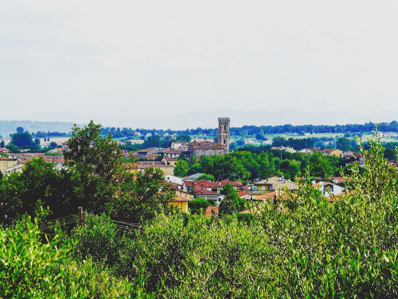 StambeccoMite: Ponsacco (Italia)