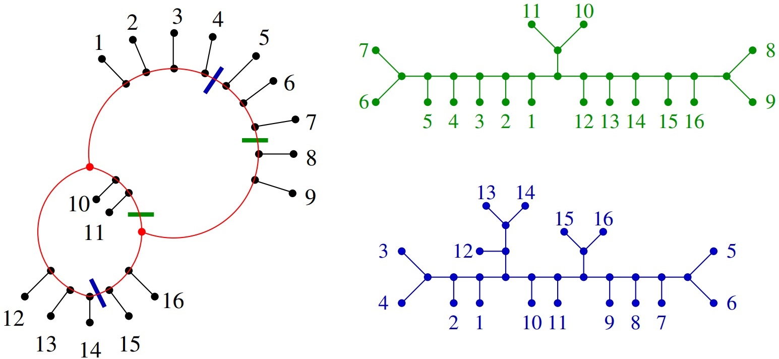 The Genealogical World Of Phylogenetic Networks Using Phylogenetic Networks To Prove New