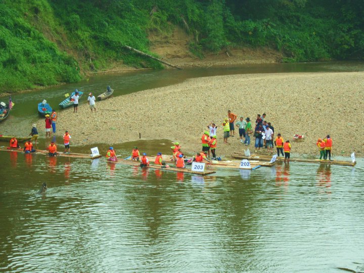 Cats City Hornbill Land: PADAWAN FEST RIVER SAFARI