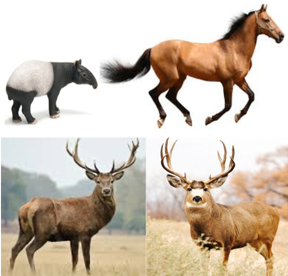 NephiCode: April 2016