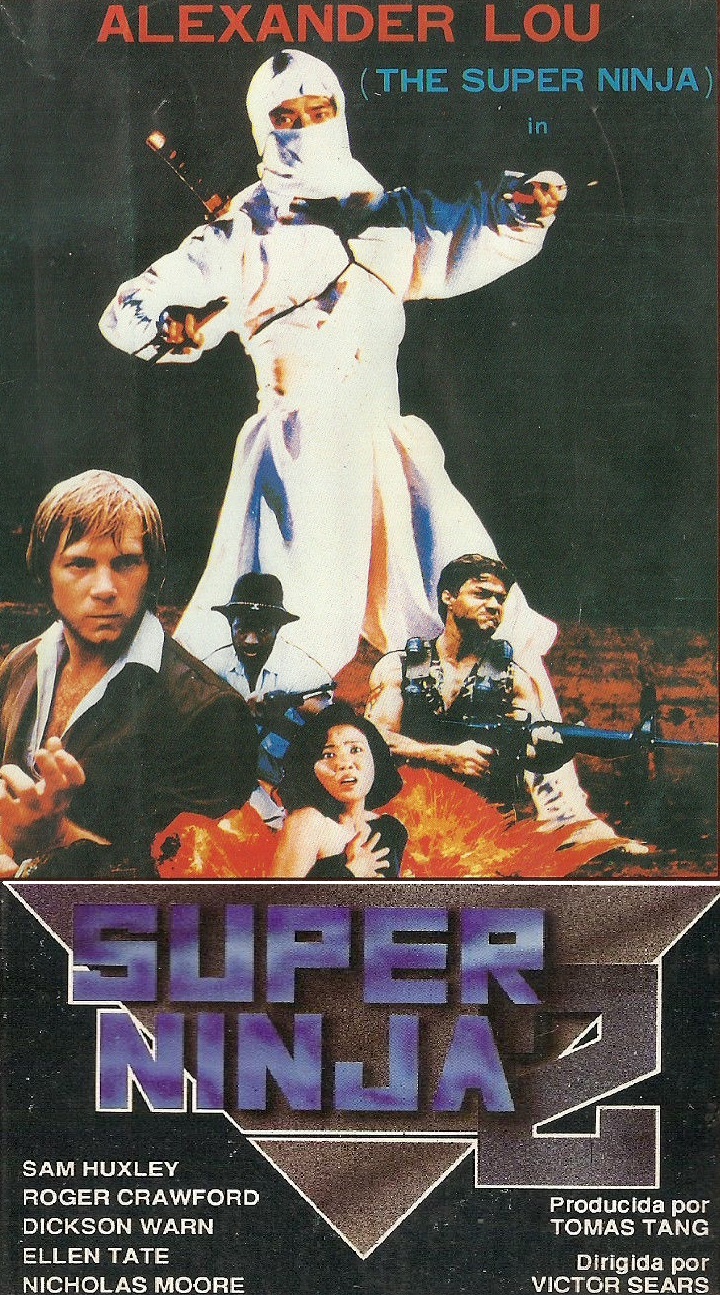 Le Repère du Ninja Légendaire : À VENIR