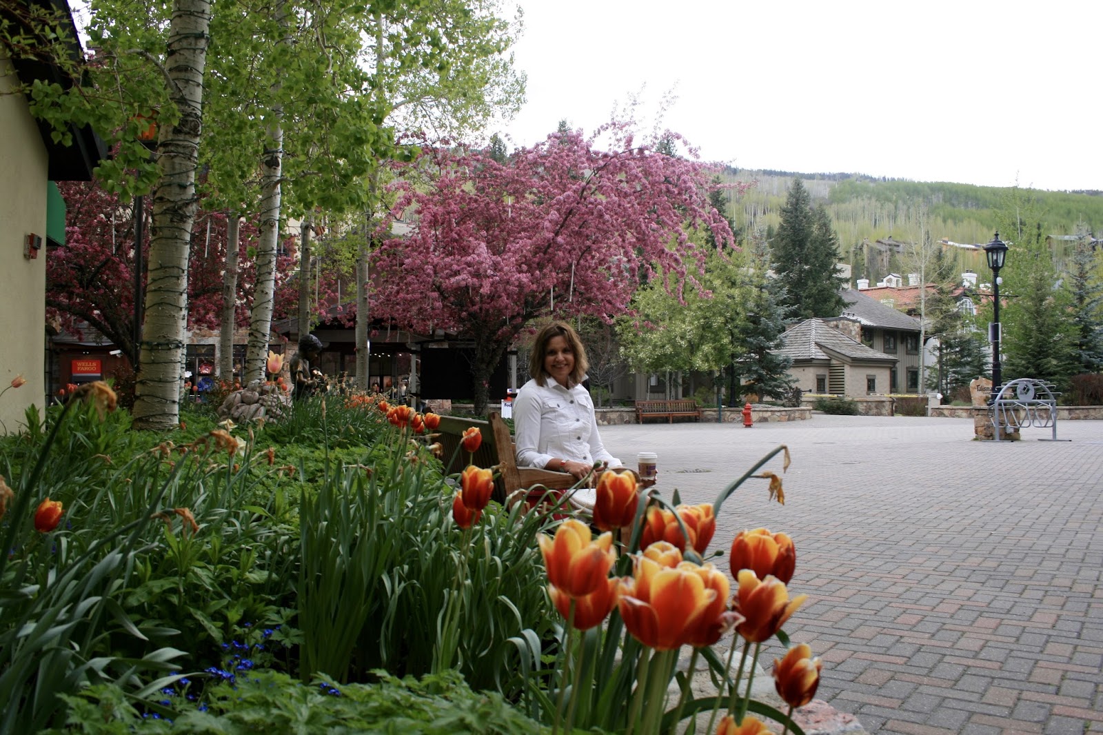 Amy's Creative Pursuits: The Beautiful Spring Blooms of Vail, Colorado