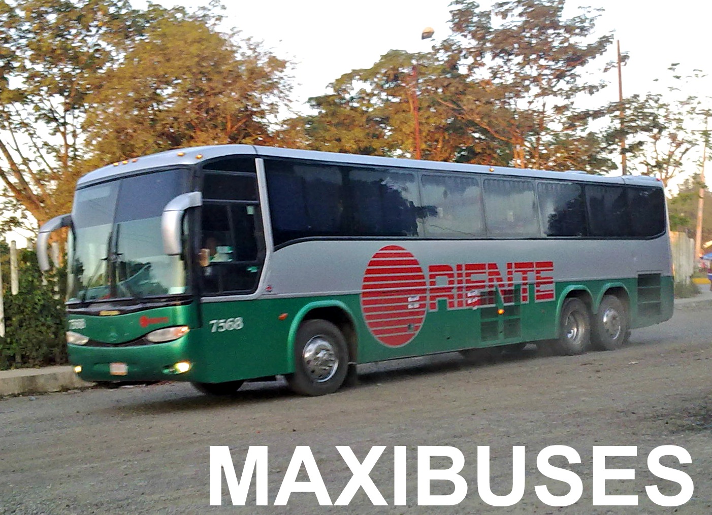 MAXIBUSES: OMNIBUS DE ORIENTE