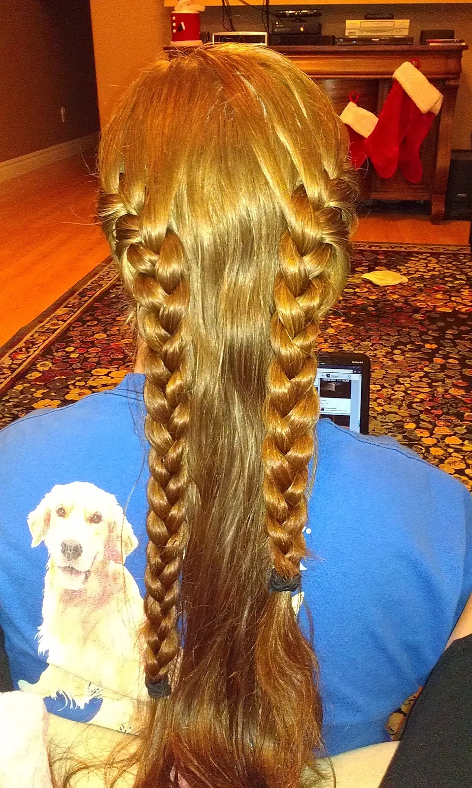 Interest of the Pin: The Rapunzel Braid Tutorial