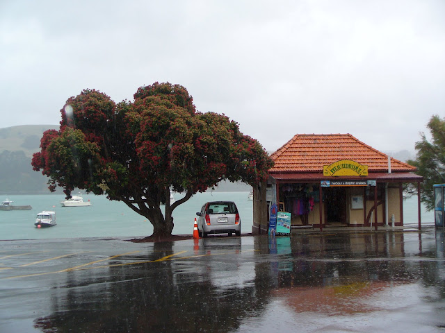 DUTCHCORNER: January 2012