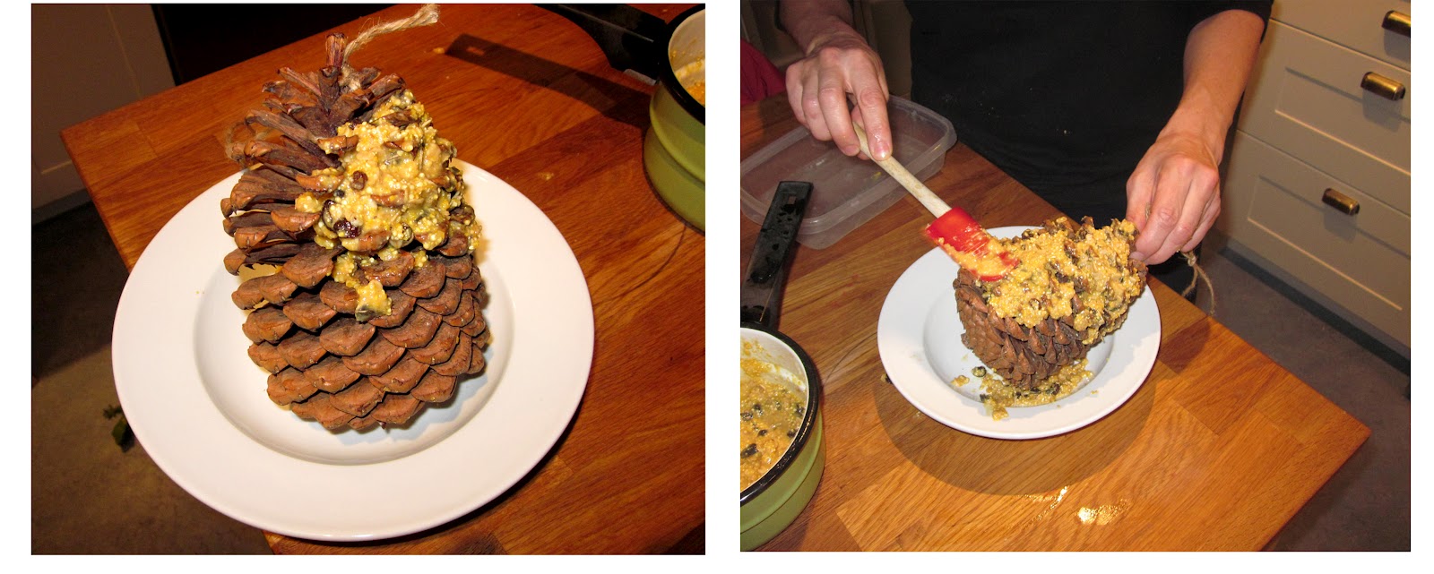 Mama's Little Muse: Making Bird Suet