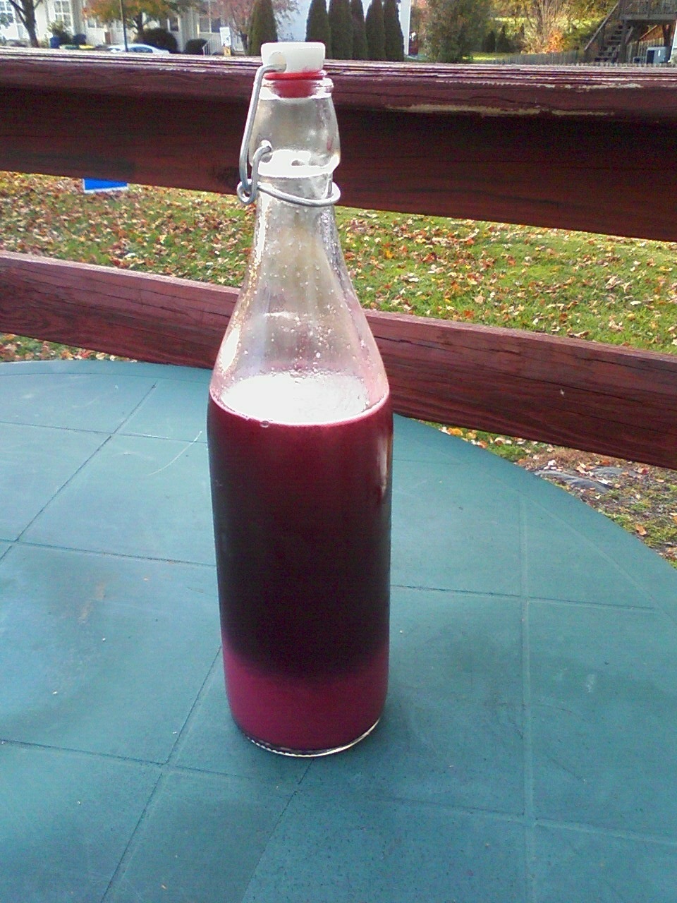 Guerilla Monkey Head