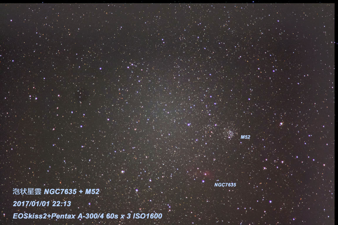 びーすけの庭: 1月 2017