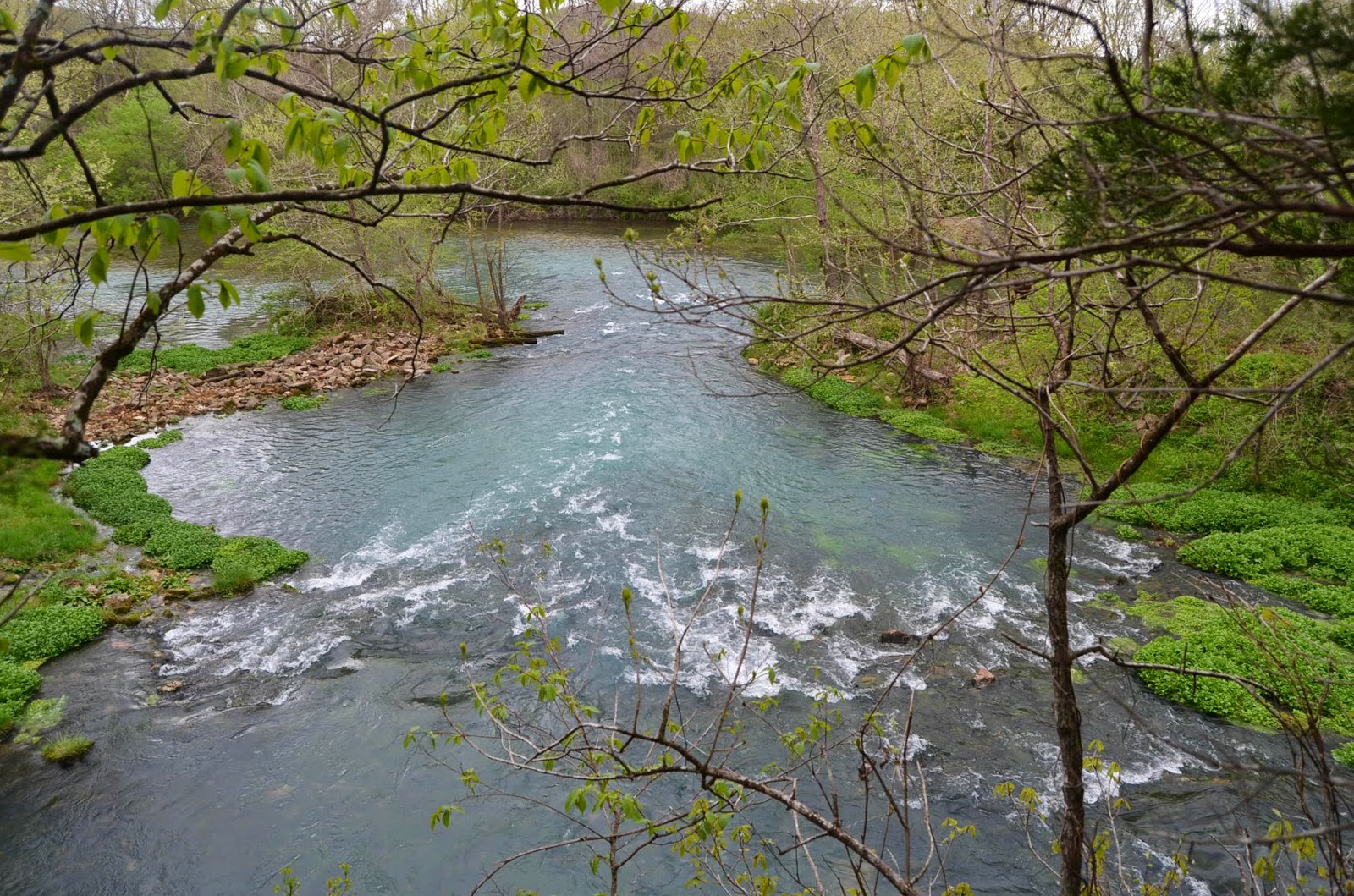 Hiking Daym: Welch Spring