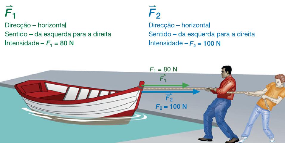 Portfólio de Biomecânica: FORÇA RESULTANTE