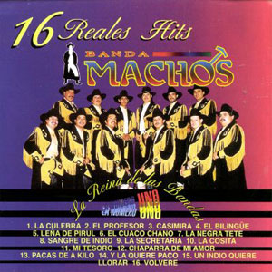 Todas las Canciones de Banda Machos - Padrino Golfo