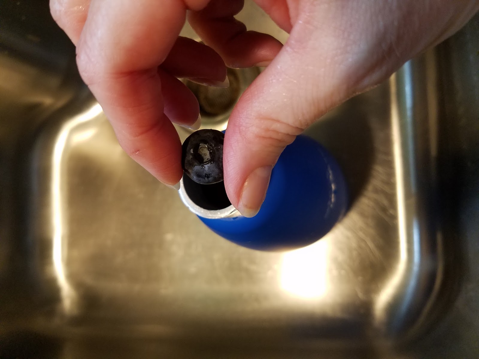 Carbonated Fruit ~ Preesi ... Food Whore