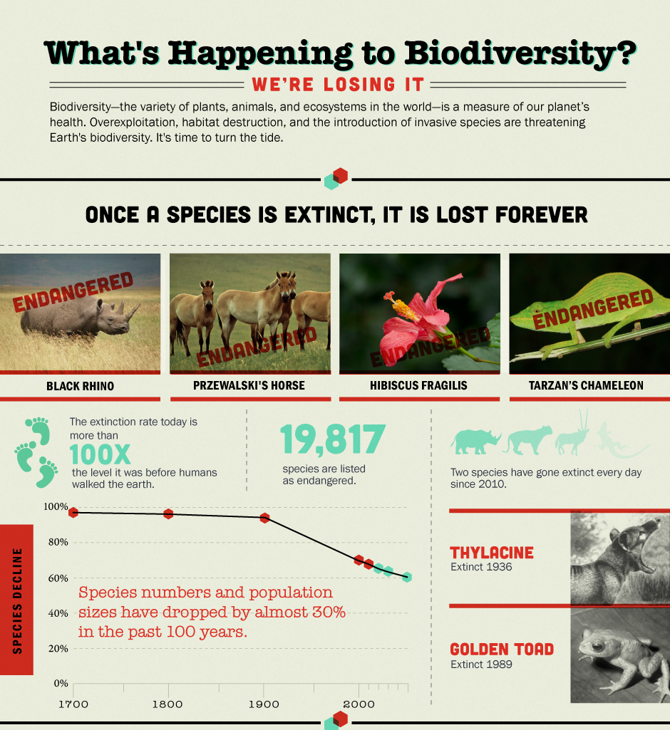 C U B E: We're losing Biodiversity (Infographic) - WORLD BANK
