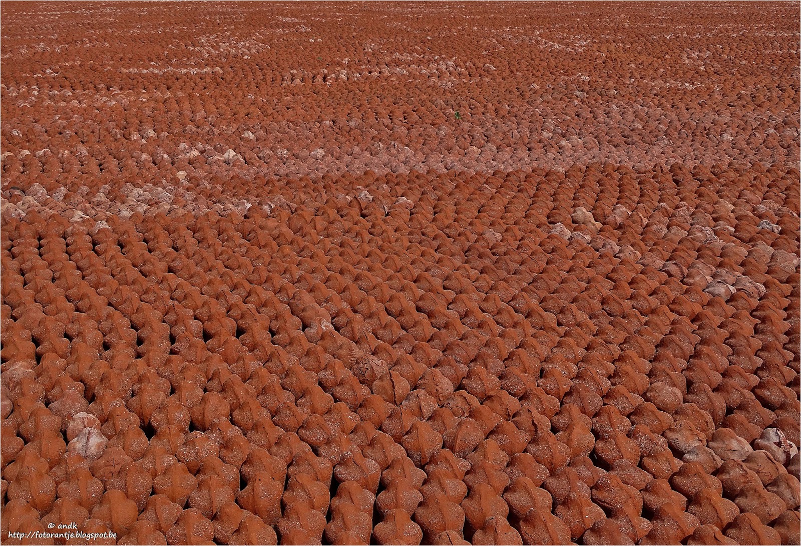 fotorantje: ruggengraat