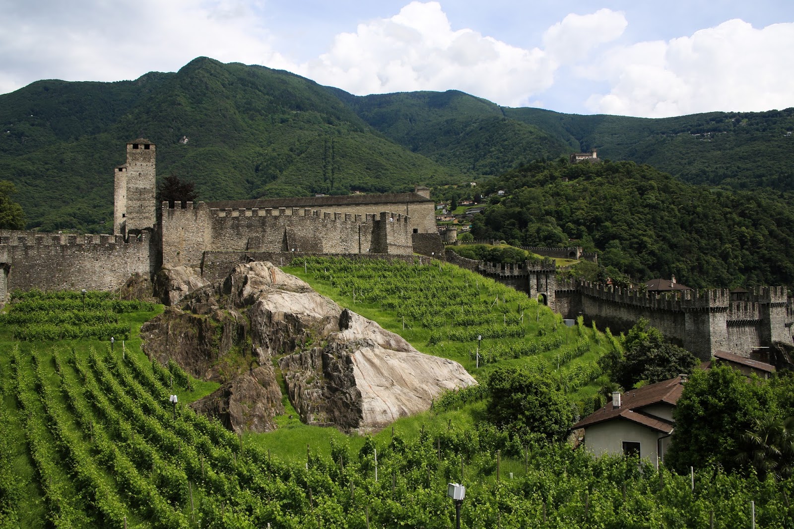 Andrew's Blog: 瑞士塵世美之旅-Castlegrande 篇