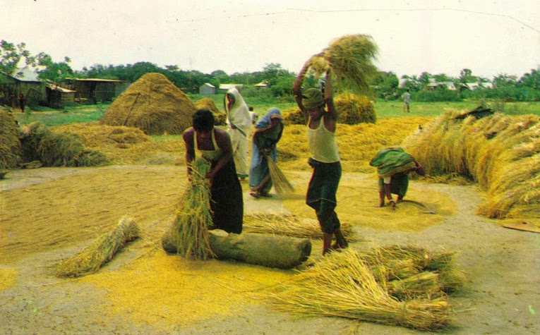 SSC Exam Preparation: Bangla First Paper Exclusive Model Test for S.S.C ...