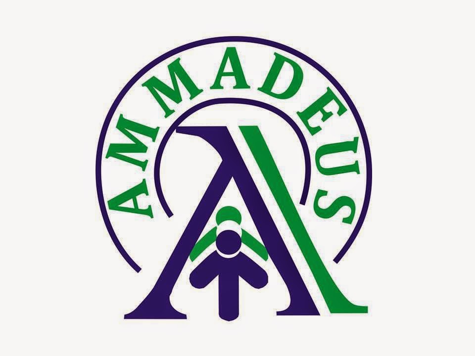 ESTRATEGIAS DE DOCENTES AMMADEUS