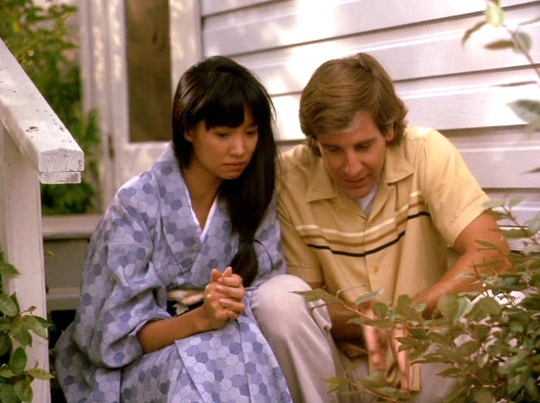 Quantum Stills: The Americanization of Machiko, Part II