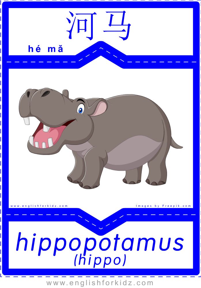English-Chinese Flashcards: Wild Animals. Part 2.