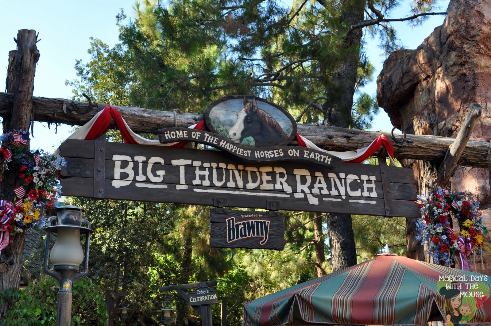 Magical Days with the Mouse: Disney Tip Tuesdays: Big Thunder Ranch