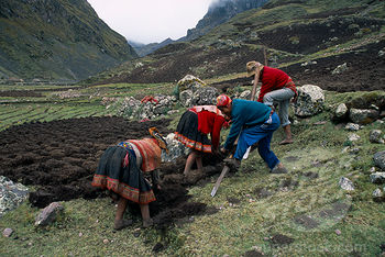 ScyFy: Adaptations among the KwaZulu Tribe and The Andean Indians