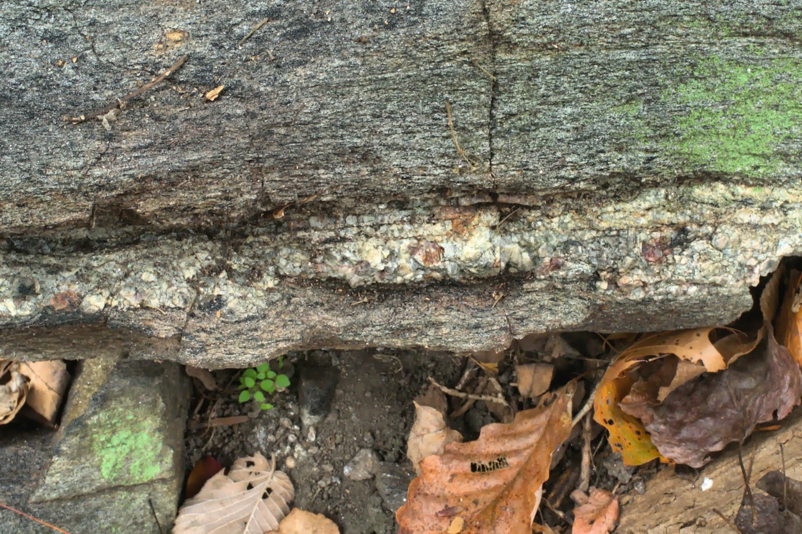 Pohlaxed: Garnet - The Stone Cold Bleeding Heart of Schist