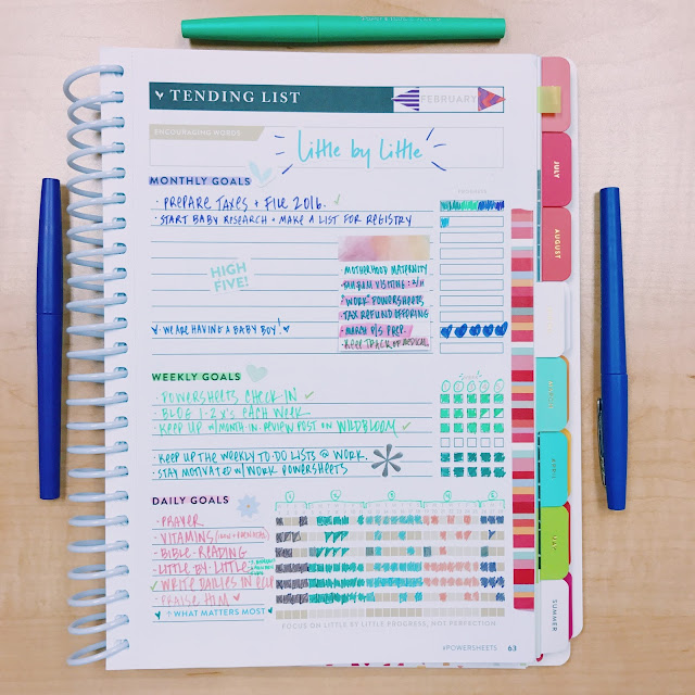 2017 powersheets check-in: first quarter. — wildbloom