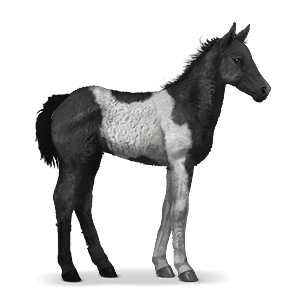 [FT] Spoiler Zone! - page 38 - Howrse