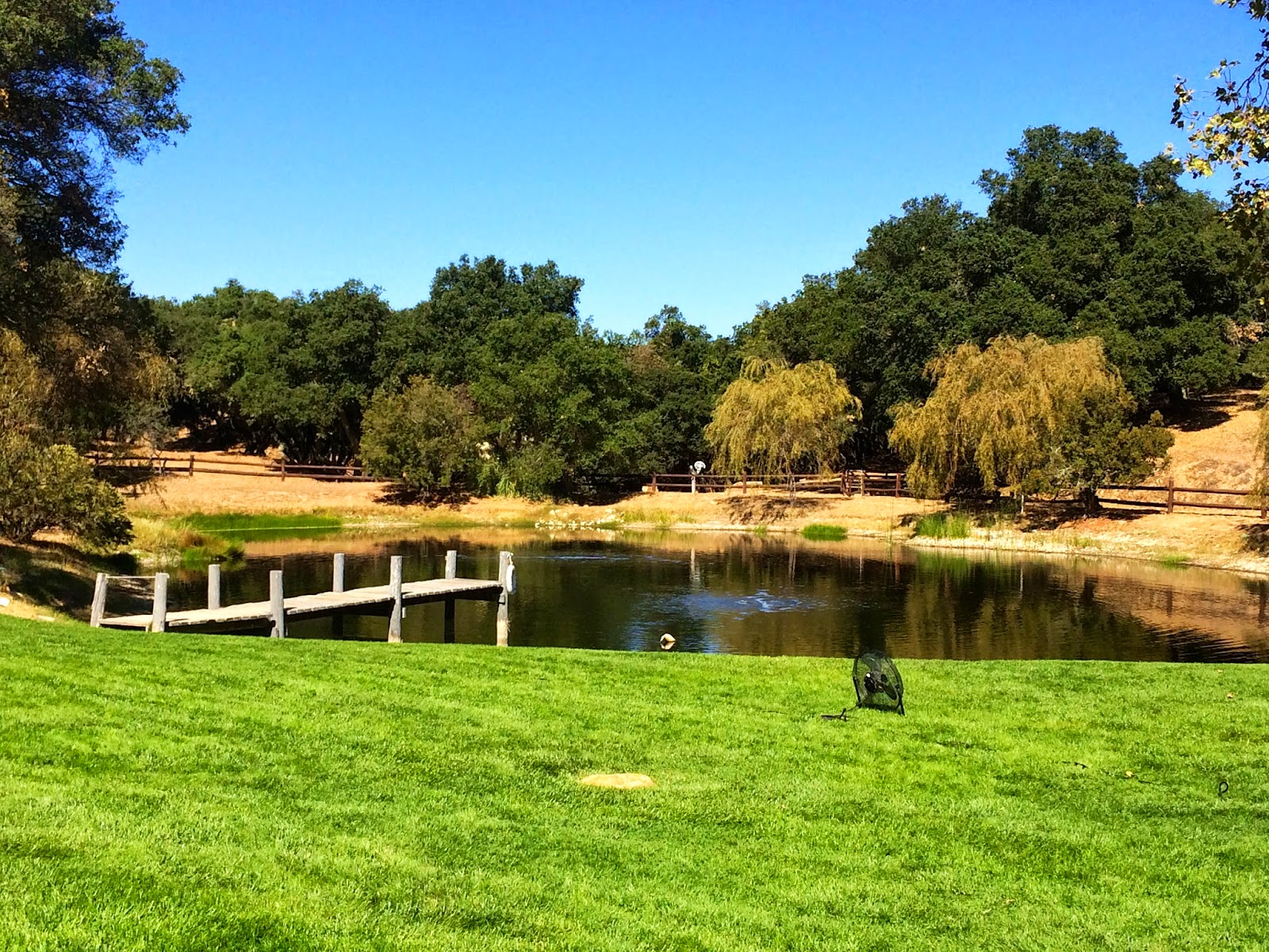 Dan Cirucci: Photos: A Day At The Reagan Ranch