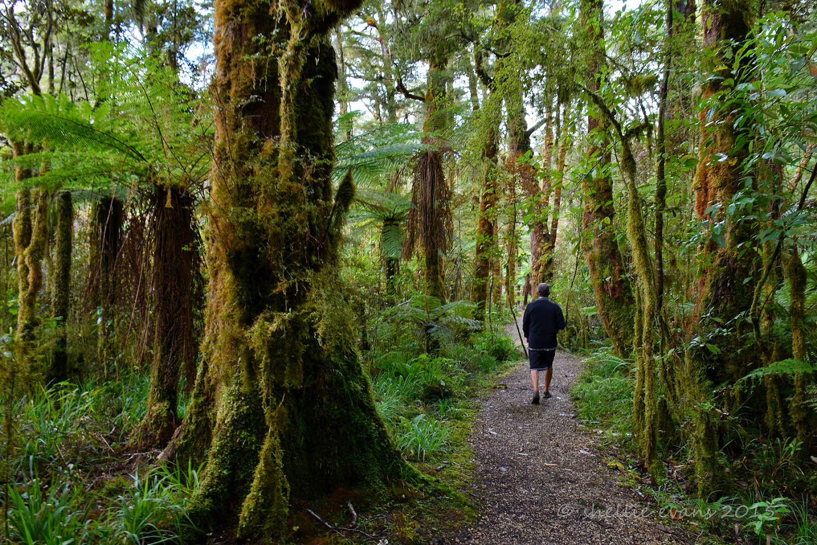 Two Go Tiki Touring: Moria Gate Arch- Oparara Basin
